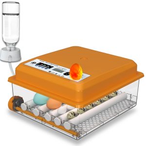 Couveuse à Œufs Automatique : Le Guide Complet pour Bien Choisir et ...