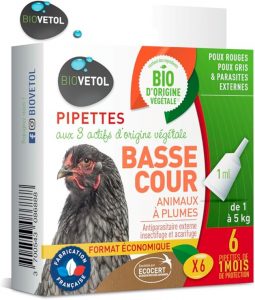 La crête de ma poule devient noire : causes et solutions - L'Atlas des ...